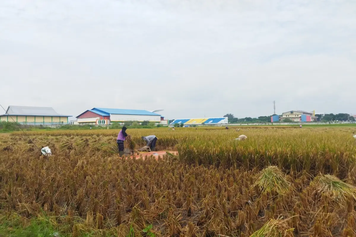 Dinas Pertanian Garut Siapkan Mitigasi Kekeringan Hadapi Musim Kemarau ...