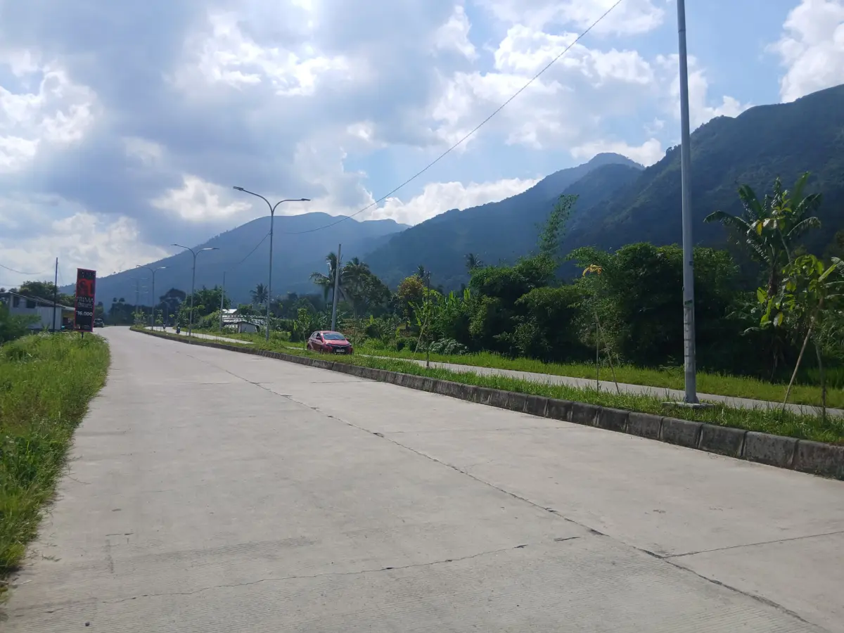 DLH Garut Gencarkan Penanaman Pohon untuk Penuhi Target Ruang Terbuka ...