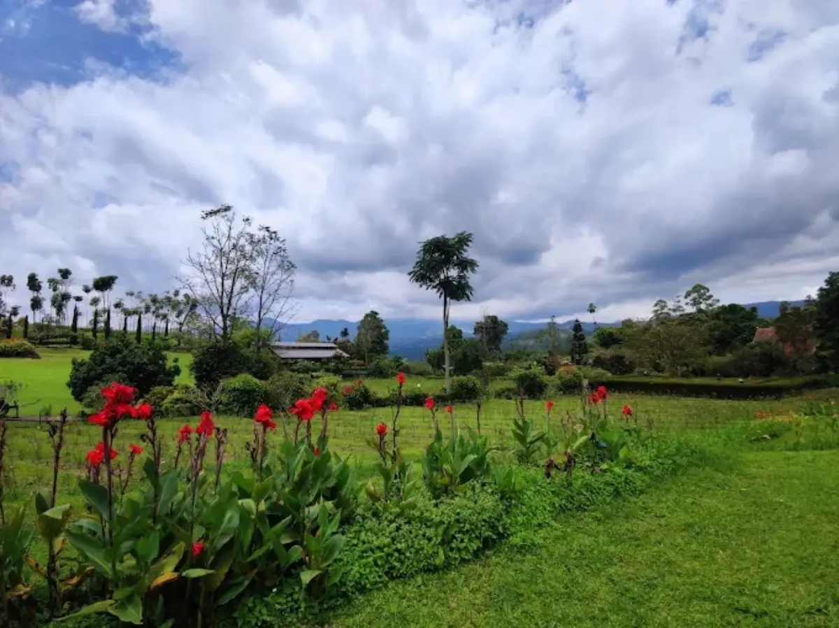 Hidden Gem di Ketinggian Garut! Wisata Terkenal Kebun Mawar Vibes Eropa ...
